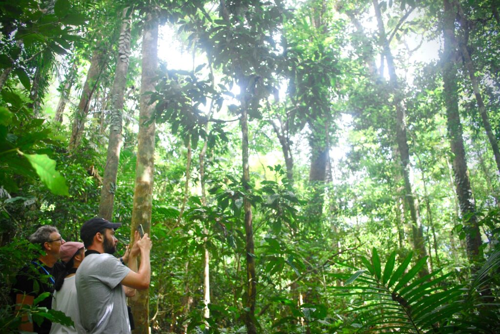 Things To Do In The Daintree Rainforest - Queensland