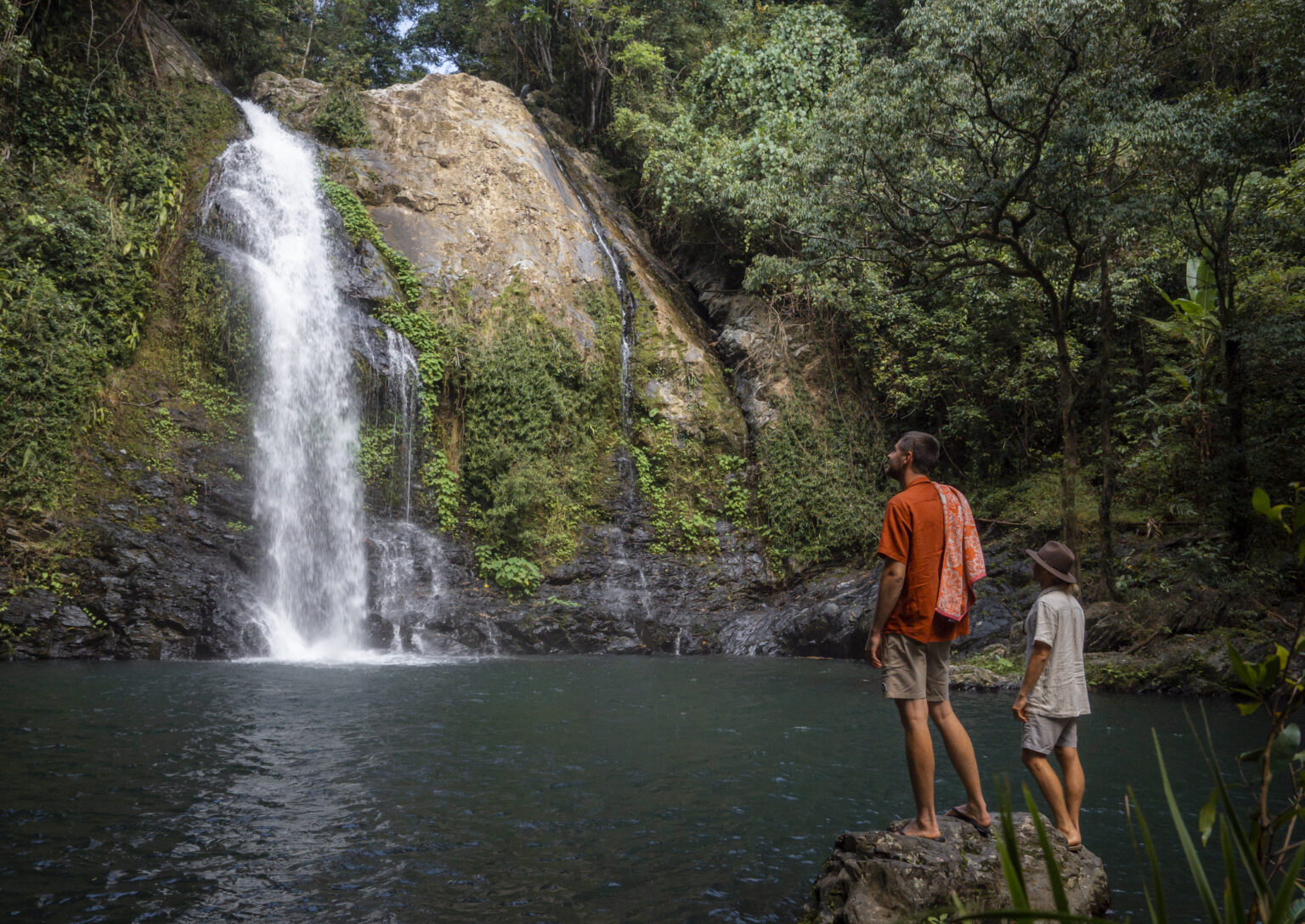 3 Daintree Swimming Holes